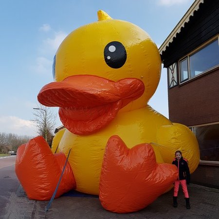 Badeend 6m - Roos Springkussens en Partyverhuur